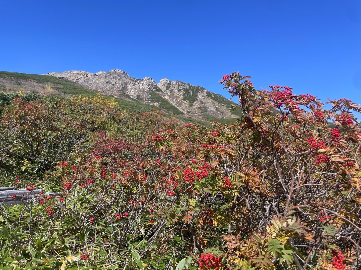 御嶽山（剣ヶ峰） / JJさんの御嶽山・継子岳・摩利支天山の活動データ | YAMAP / ヤマップ