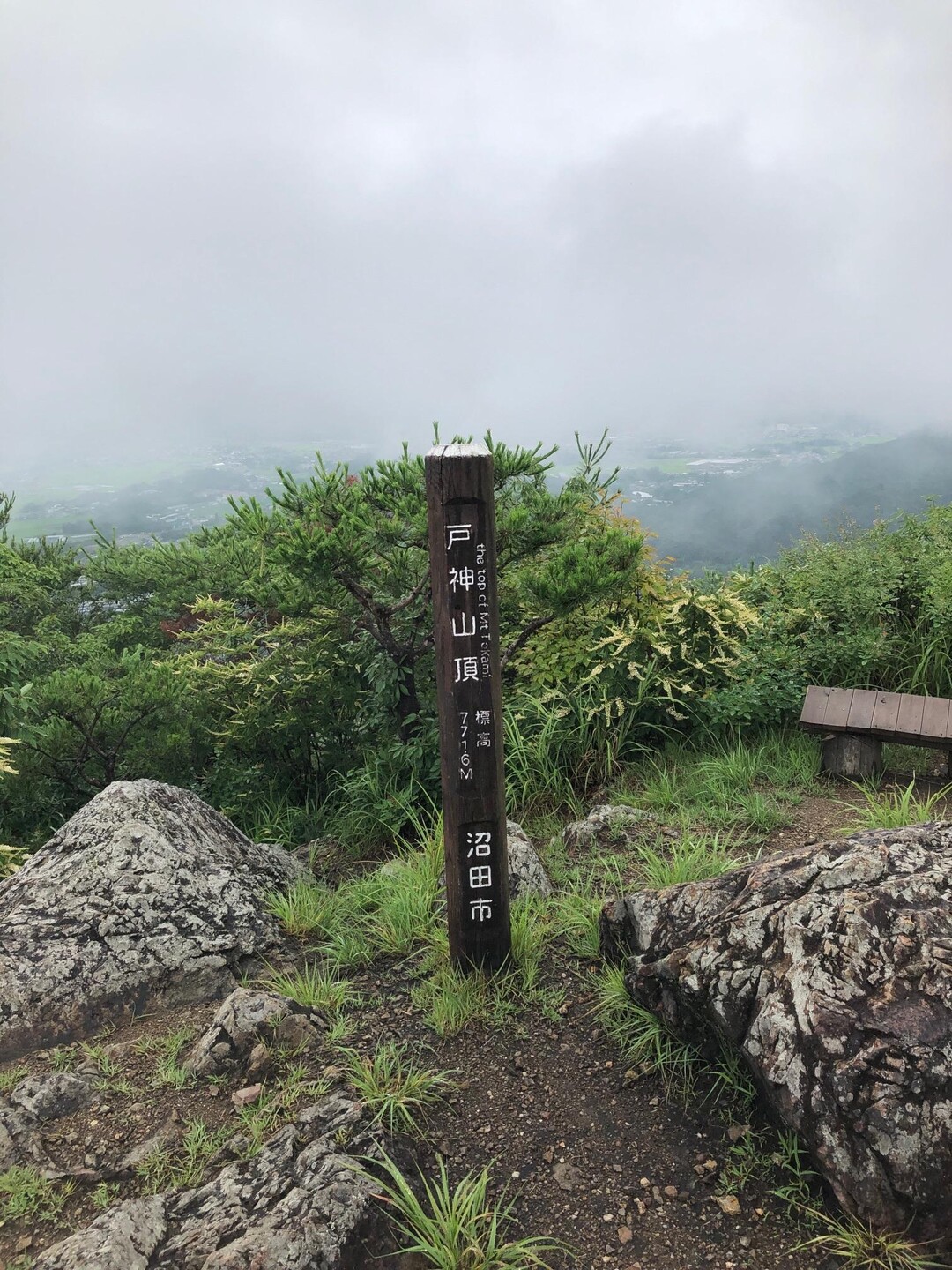 戸神山 / BOさんの戸神山・高王山の活動データ | YAMAP / ヤマップ