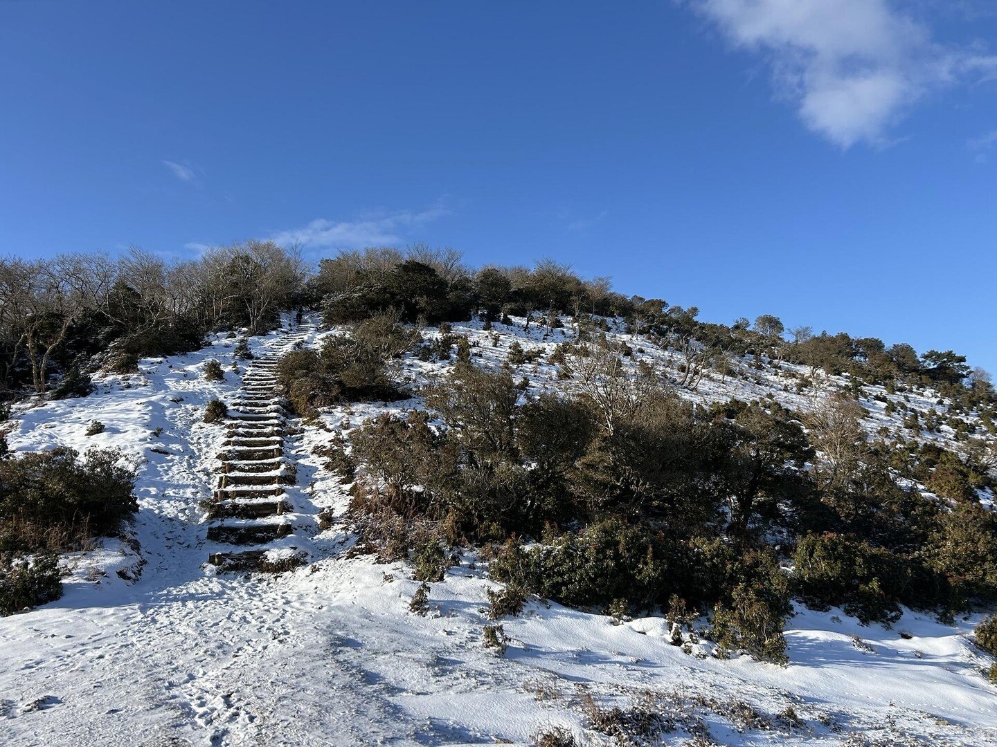 三方山・小倉山・養老山・北尾根P826峰 / あっきーさんの養老山・笙ヶ岳・三方山の活動データ | YAMAP / ヤマップ