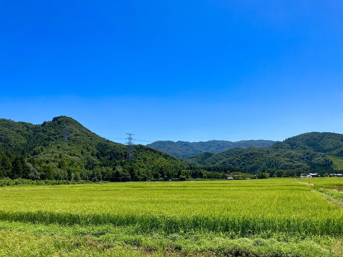 隙間の有効活用⛰️🏃‍♂️ / Naluさんの五頭山・菱ヶ岳・宝珠山の活動データ | YAMAP / ヤマップ