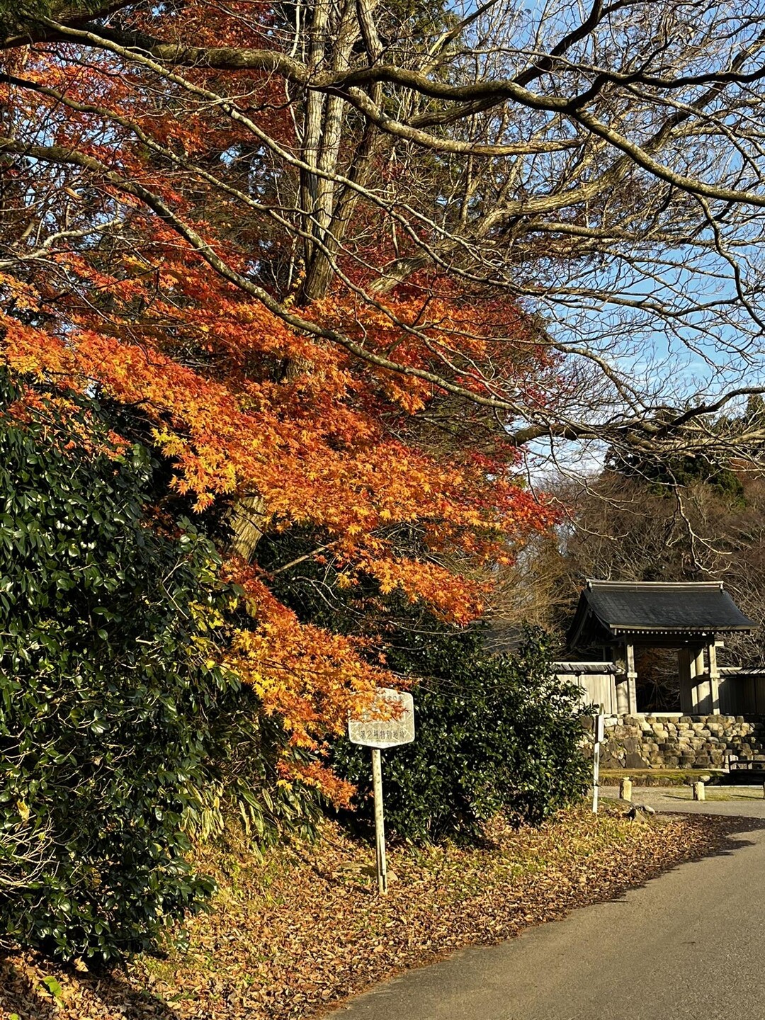 待ちに待った😎旦那の新車を走らせて、石... / kikuさんのモーメント | YAMAP / ヤマップ