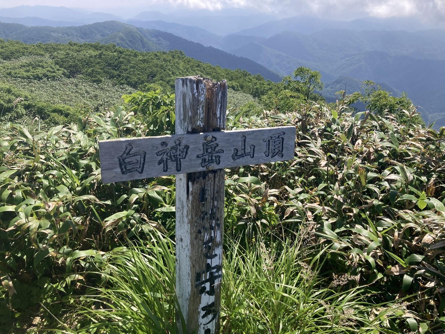蟶山・白神岳 / YTさんの白神岳・蟶山・大峰岳の活動データ | YAMAP / ヤマップ