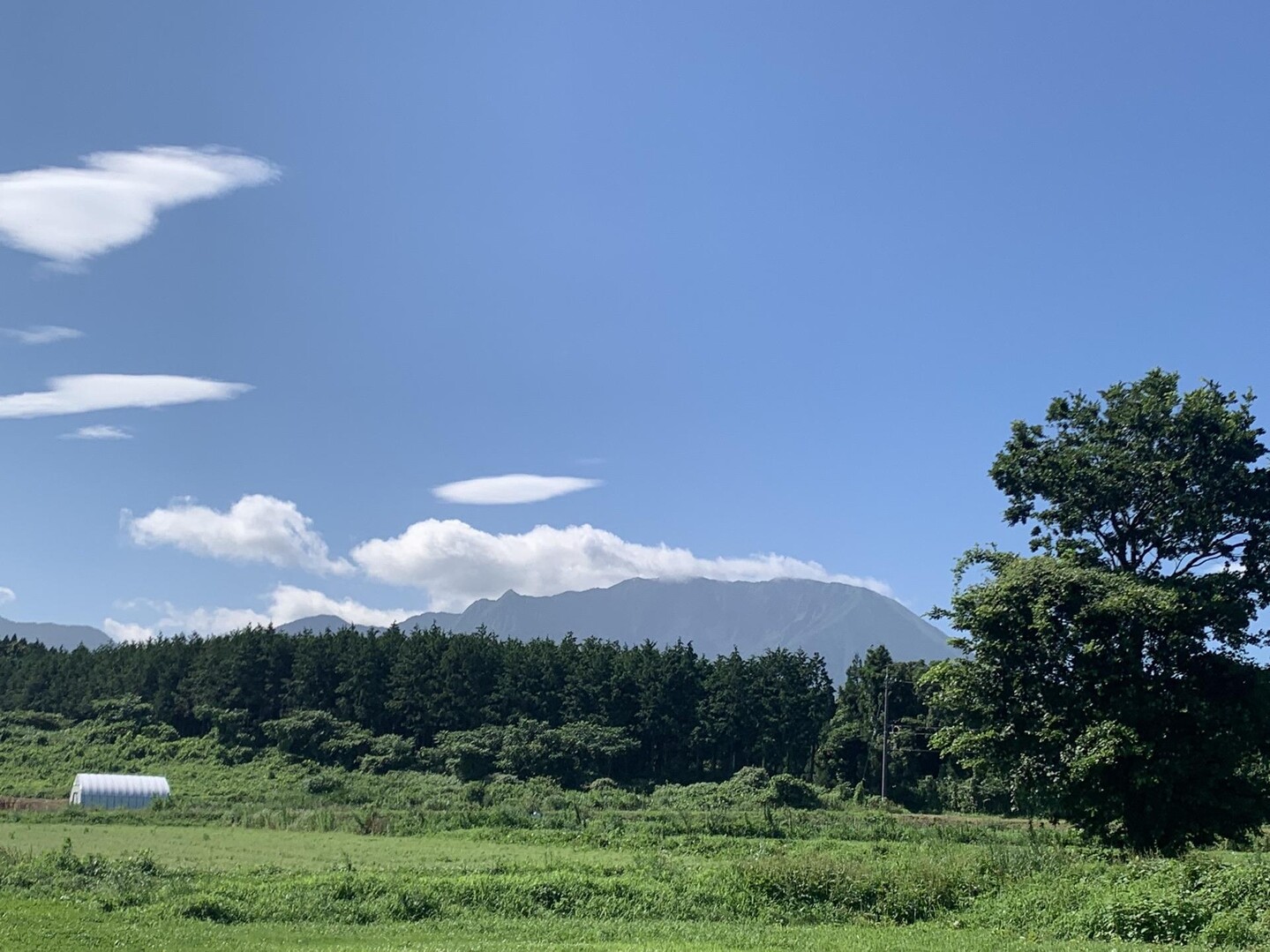 今日は、今年3回目のブルーベリー狩りでし... / nekoさんのモーメント | YAMAP / ヤマップ