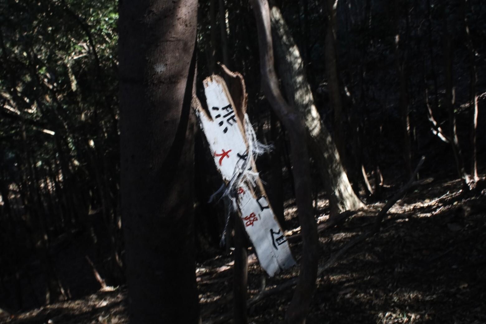 春合宿'22 / K.Ryotaさんの熊野古道 大辺路③（長井坂：周参見駅～見老津駅）の活動データ | YAMAP / ヤマップ