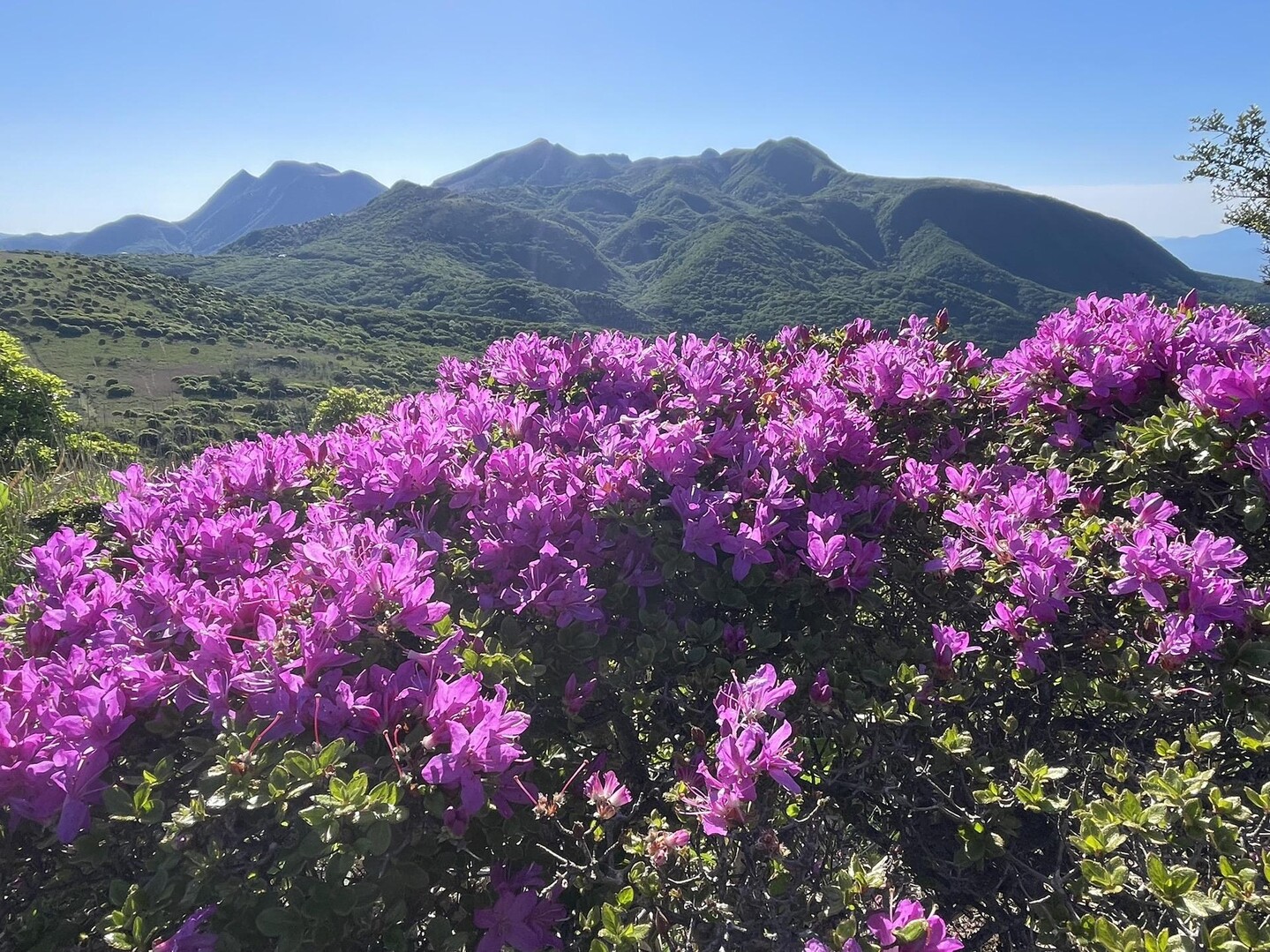 初めましての猟師山南峰・猟師岳・合頭山 / key_ko86さんの九重山（久住山）・大船山・星生山の活動データ | YAMAP / ヤマップ
