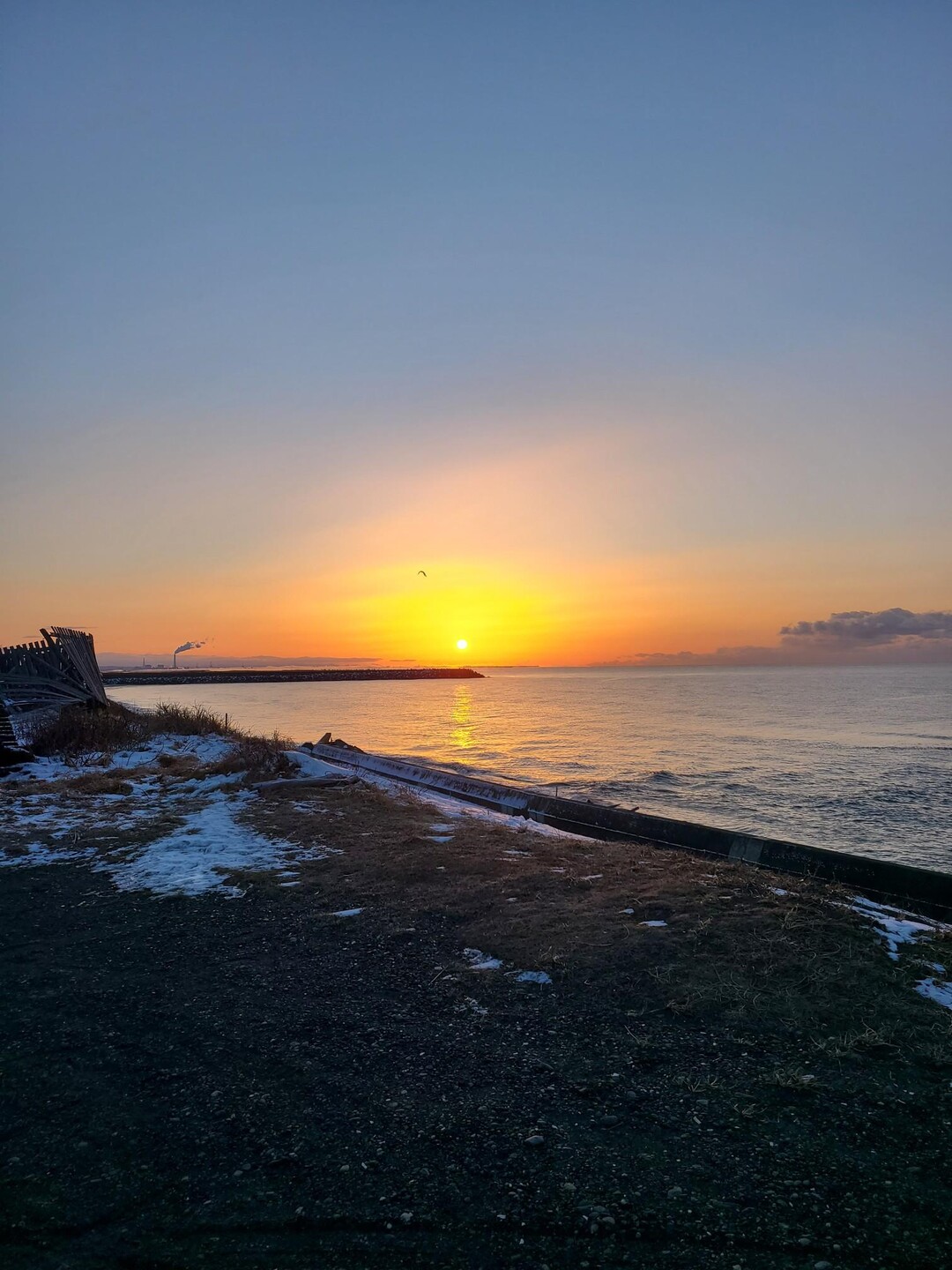 🐕ワンコと朝活ウォーキング-2023-01-22 / Mr.Masaさんのウォーキングの活動データ | YAMAP / ヤマップ