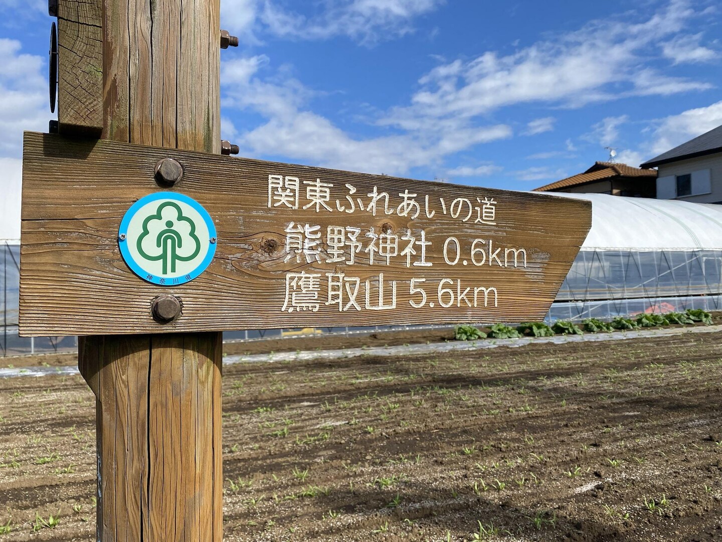 相模平野縦断🚶‍♂️ / MARIKOさんの高麗山・湘南平・鷹取山の活動データ | YAMAP / ヤマップ