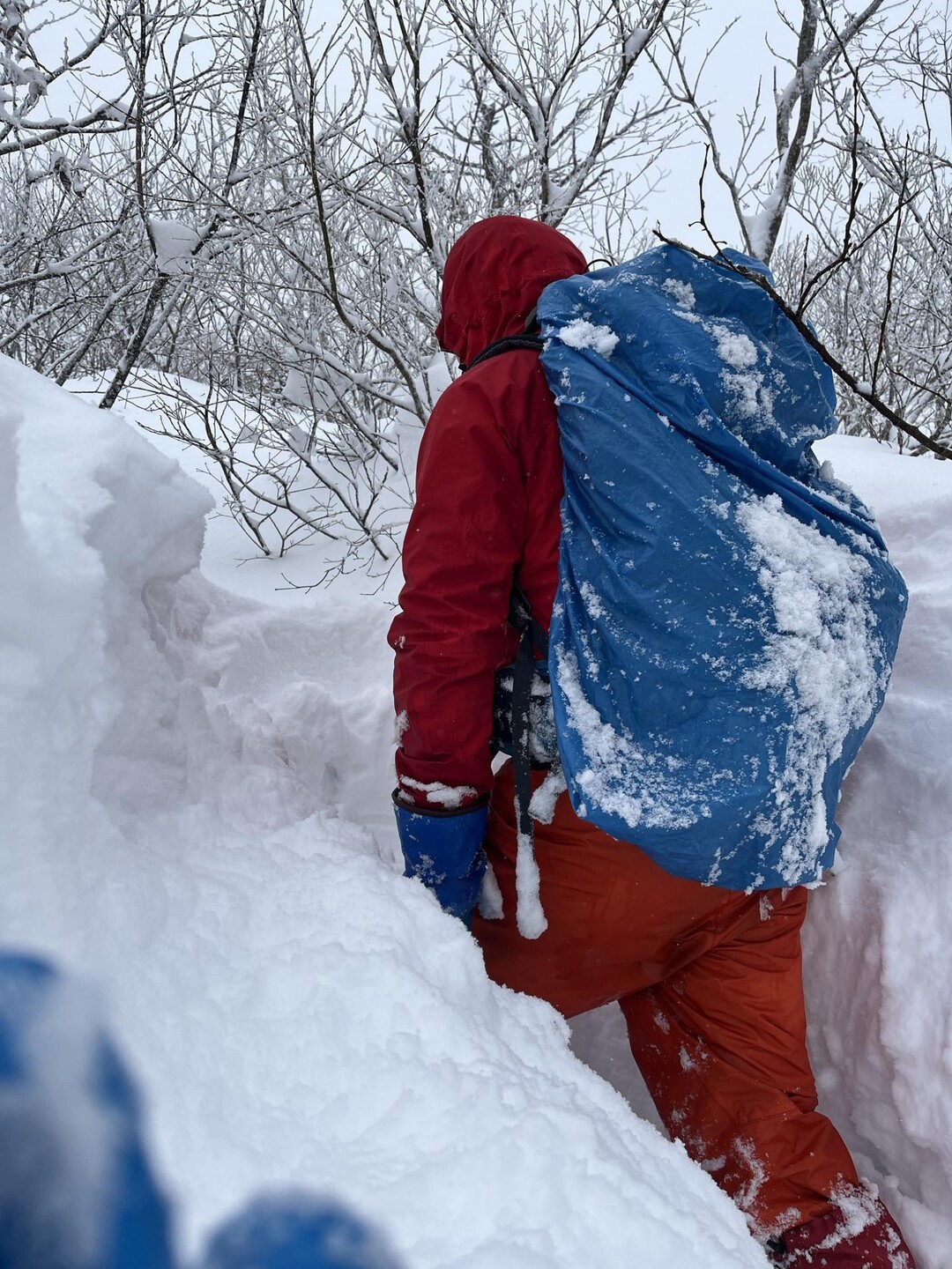 豪雪額取山 / tkoさんの額取山（安積山）の活動データ | YAMAP / ヤマップ
