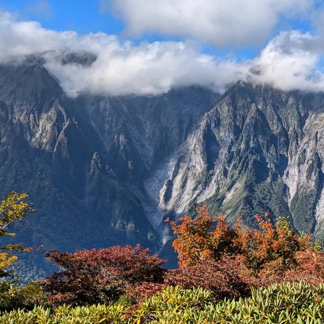 松ノ木沢ノ頭・白毛門 紅葉登山 / mdk.knzさんの谷川岳・七ツ小屋山・大源太山の活動日記 | YAMAP / ヤマップ