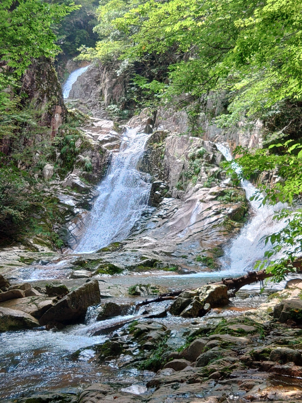 犬戻し峡の美味しいとこだけ😋 / 亀仙人さんの吉和冠山（安芸冠山）・広高山・寂地山の活動データ | YAMAP / ヤマップ