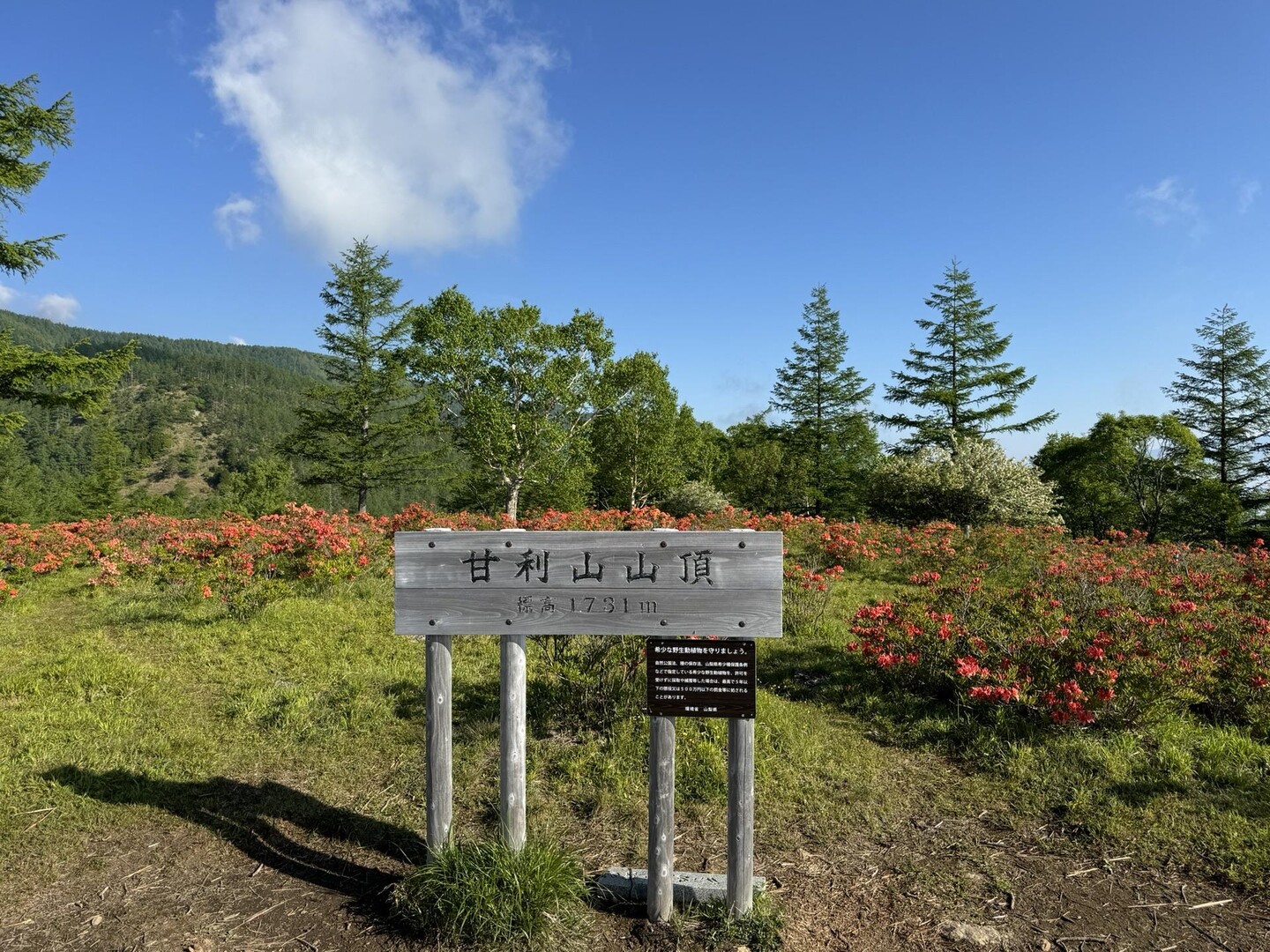 甘利山・千頭星山 / ゆさかさんの鳳凰山・地蔵岳・観音岳・薬師岳の活動日記 | YAMAP / ヤマップ