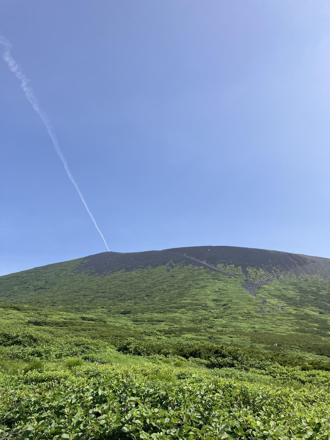 【日本百名山41座目】岩手山 / Shu.Tさんの岩手山・黒倉山・鞍掛山の活動データ | YAMAP / ヤマップ
