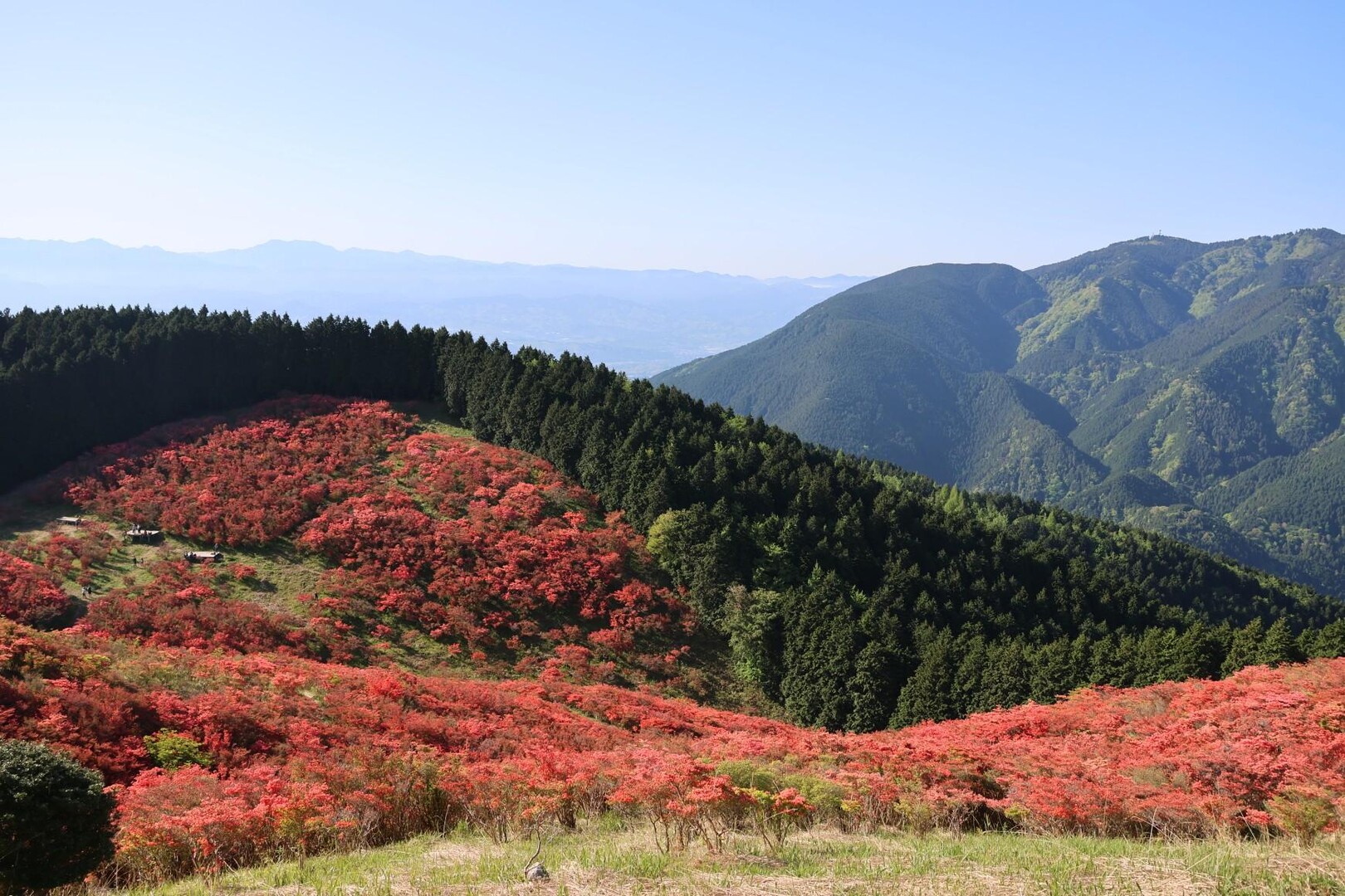 今年もカツコン、行って来ました🙌 / kayo♪さんの金剛山・二上山・大和葛城山の活動データ | YAMAP / ヤマップ