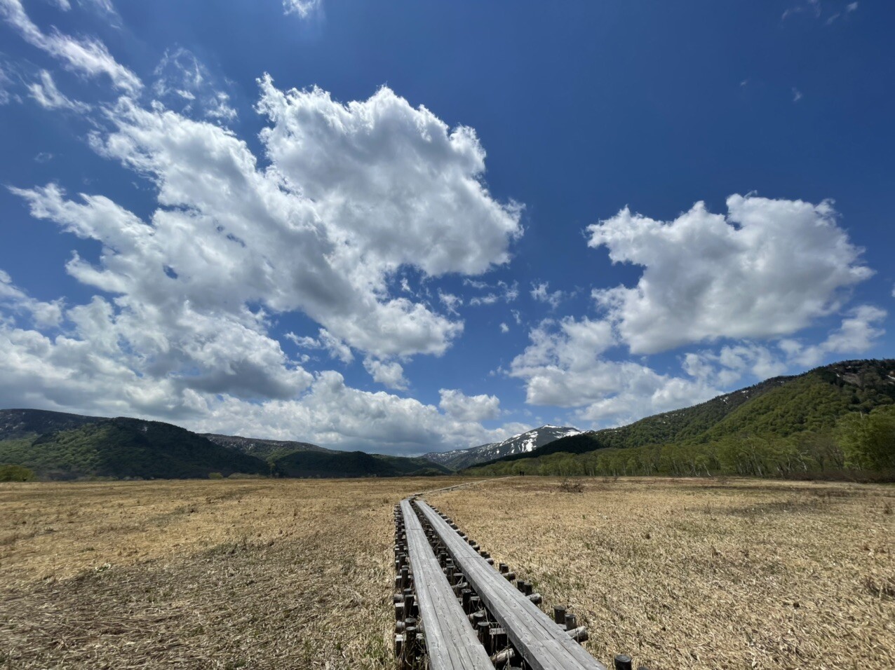 Shinのページ | YAMAP / ヤマップ