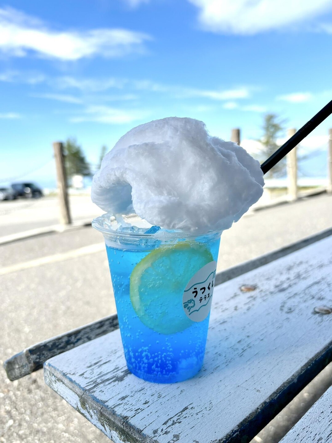 美ヶ原（王ヶ頭）・王ヶ鼻 / mskふぅさんの美ヶ原の活動日記 | YAMAP / ヤマップ