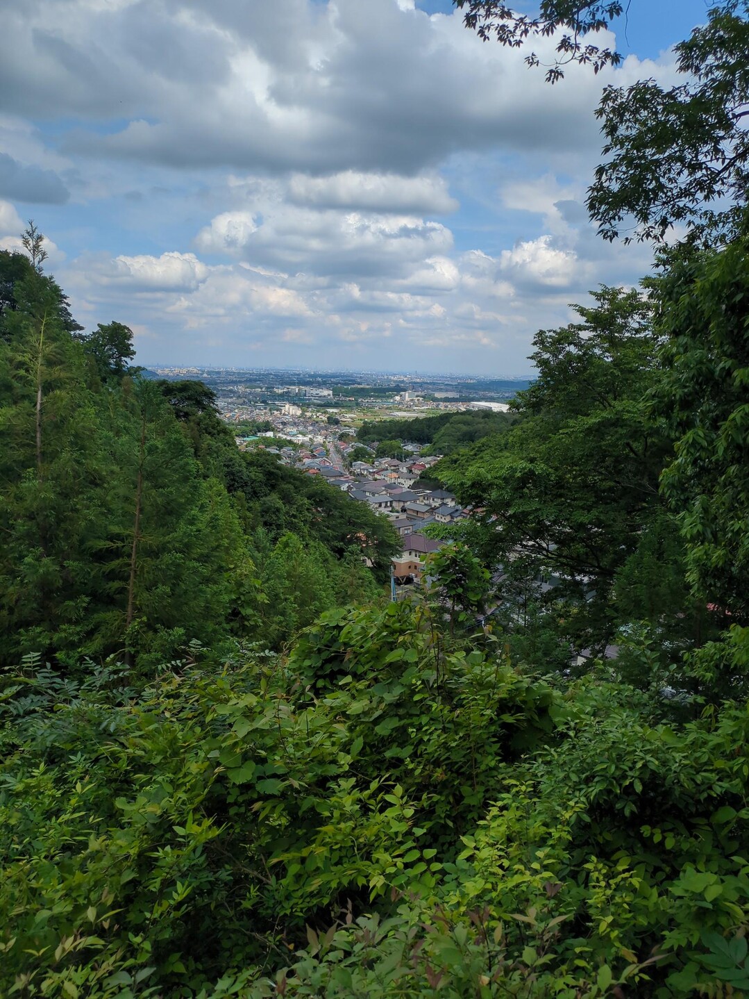 Space Dragonさんの投稿したフィールドメモ | YAMAP / ヤマップ