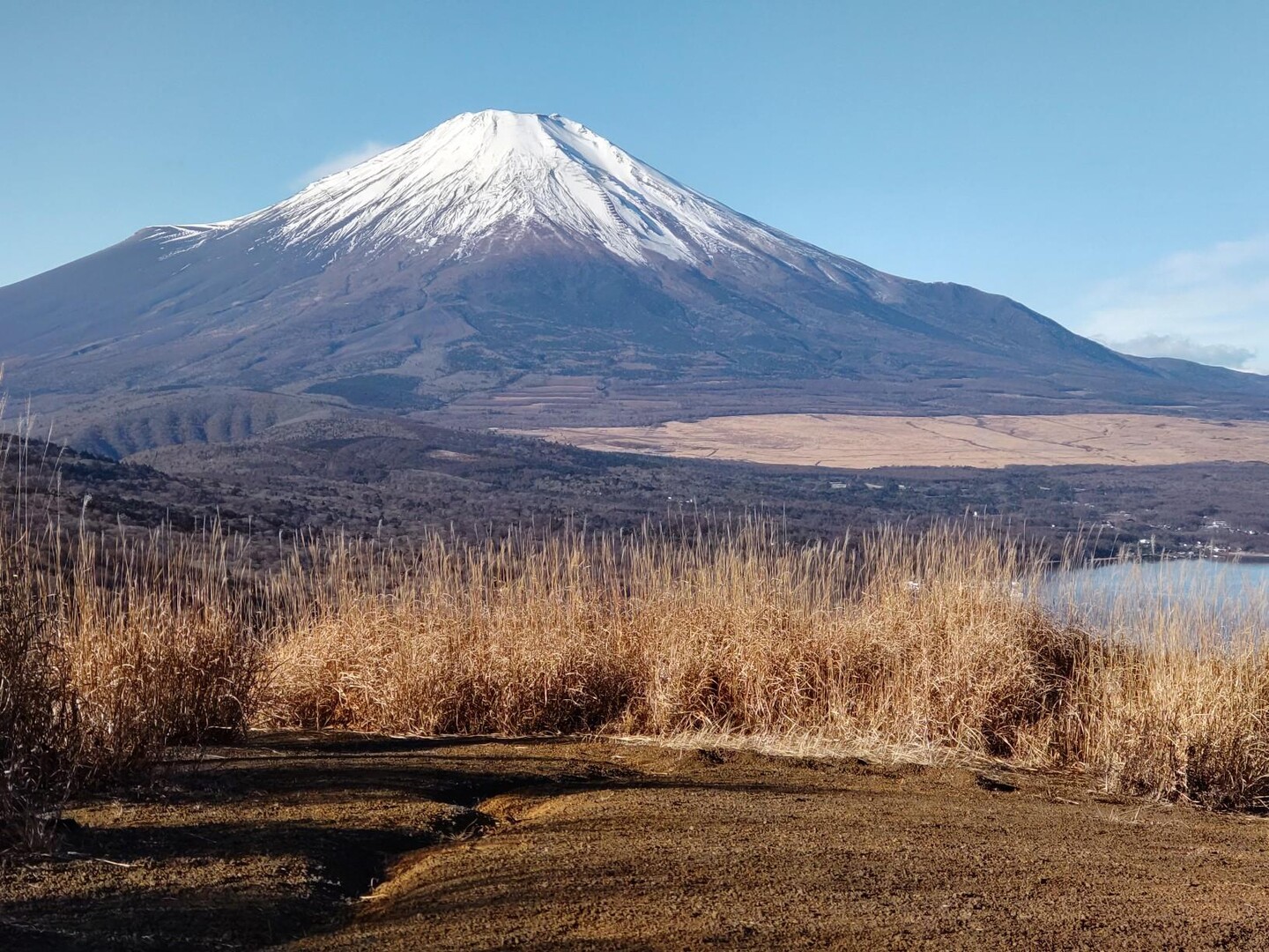 鉄砲木ノ頭 Mt.FUJI試走サポート / ガンピーさんの三国山・大洞山・不老山の活動データ | YAMAP / ヤマップ