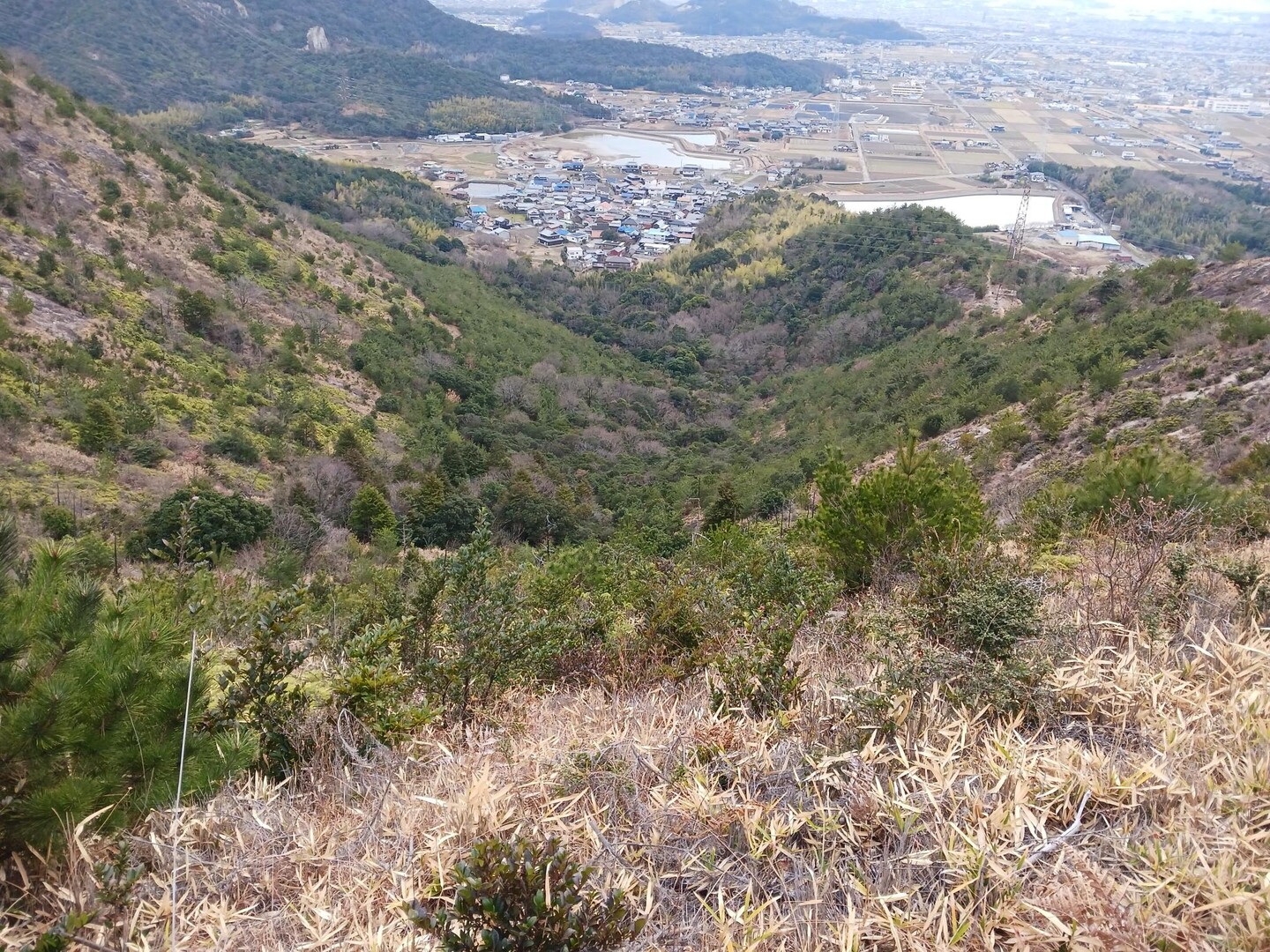 高御位山・長尾奥山 / つばくろJr.さんの高御位山・播磨アルプスの活動日記 | YAMAP / ヤマップ