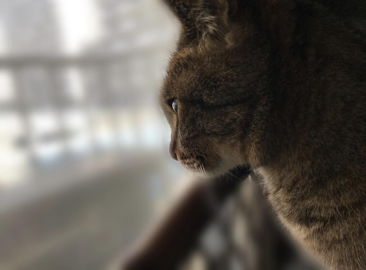 EIのページ | YAMAP / ヤマップ