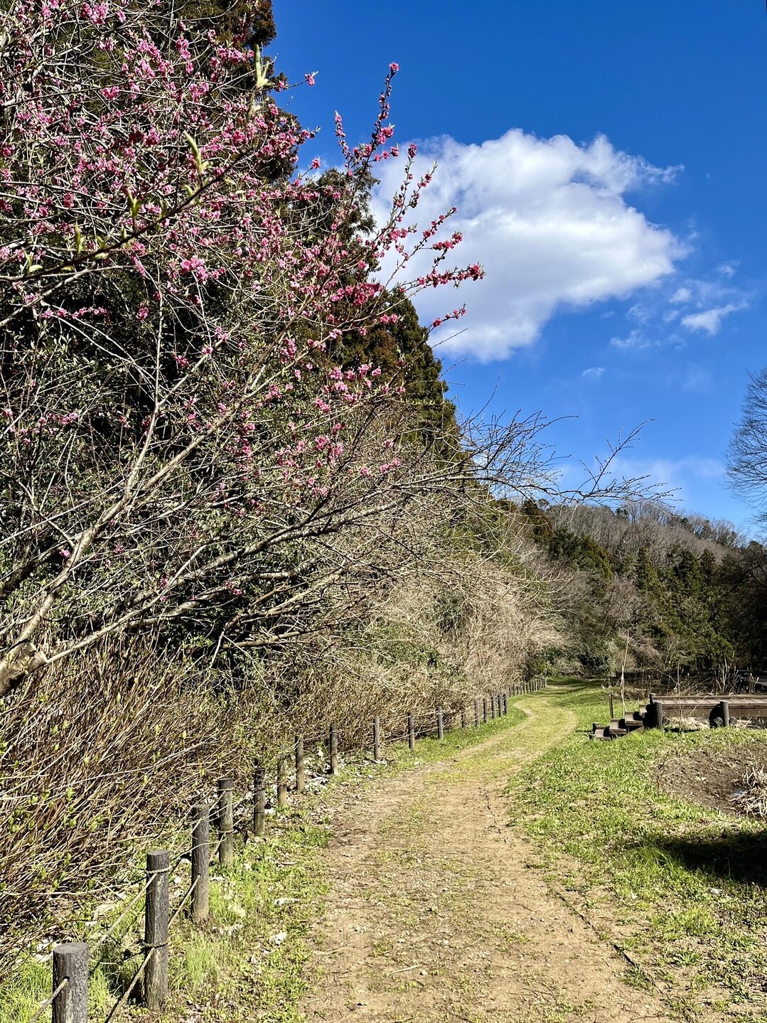 七国山・草戸山 / maaさんの七国山の活動データ | YAMAP / ヤマップ