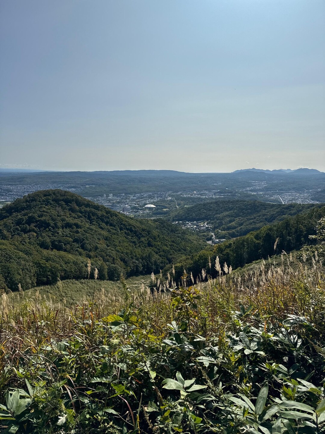 山鼻山・藻岩山 / ASAさんの藻岩山の活動データ | YAMAP / ヤマップ