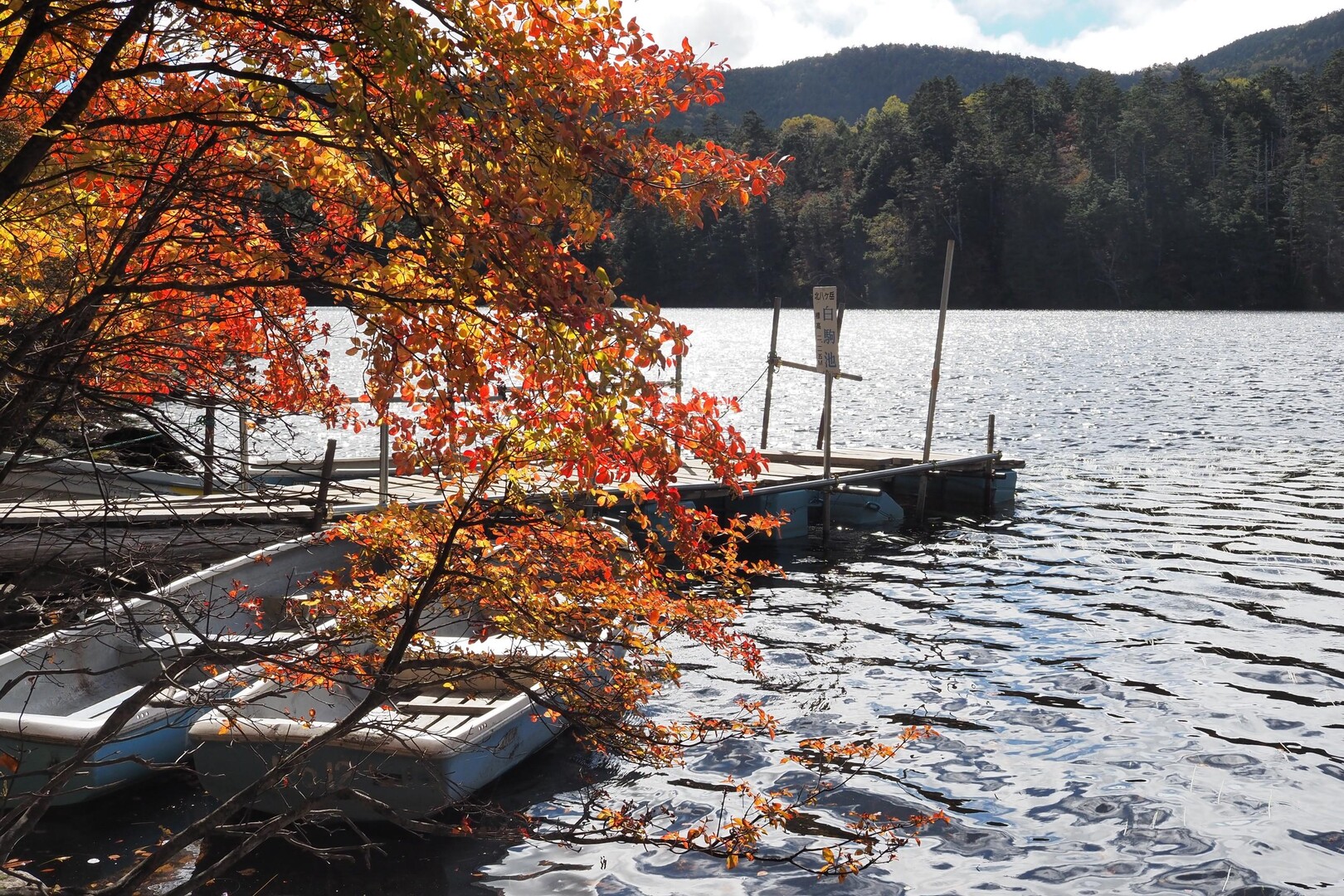 中山・東天狗岳・天狗岳（西天狗岳）・ニュウ / Ke-iさんの蓼科山・横岳・縞枯山の活動日記 | YAMAP / ヤマップ