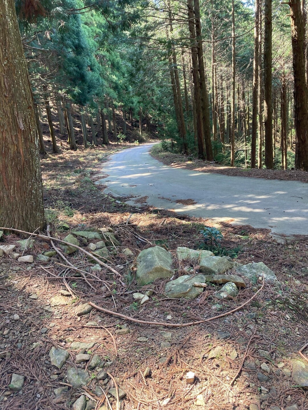 Guestさんの投稿したフィールドメモ | YAMAP / ヤマップ