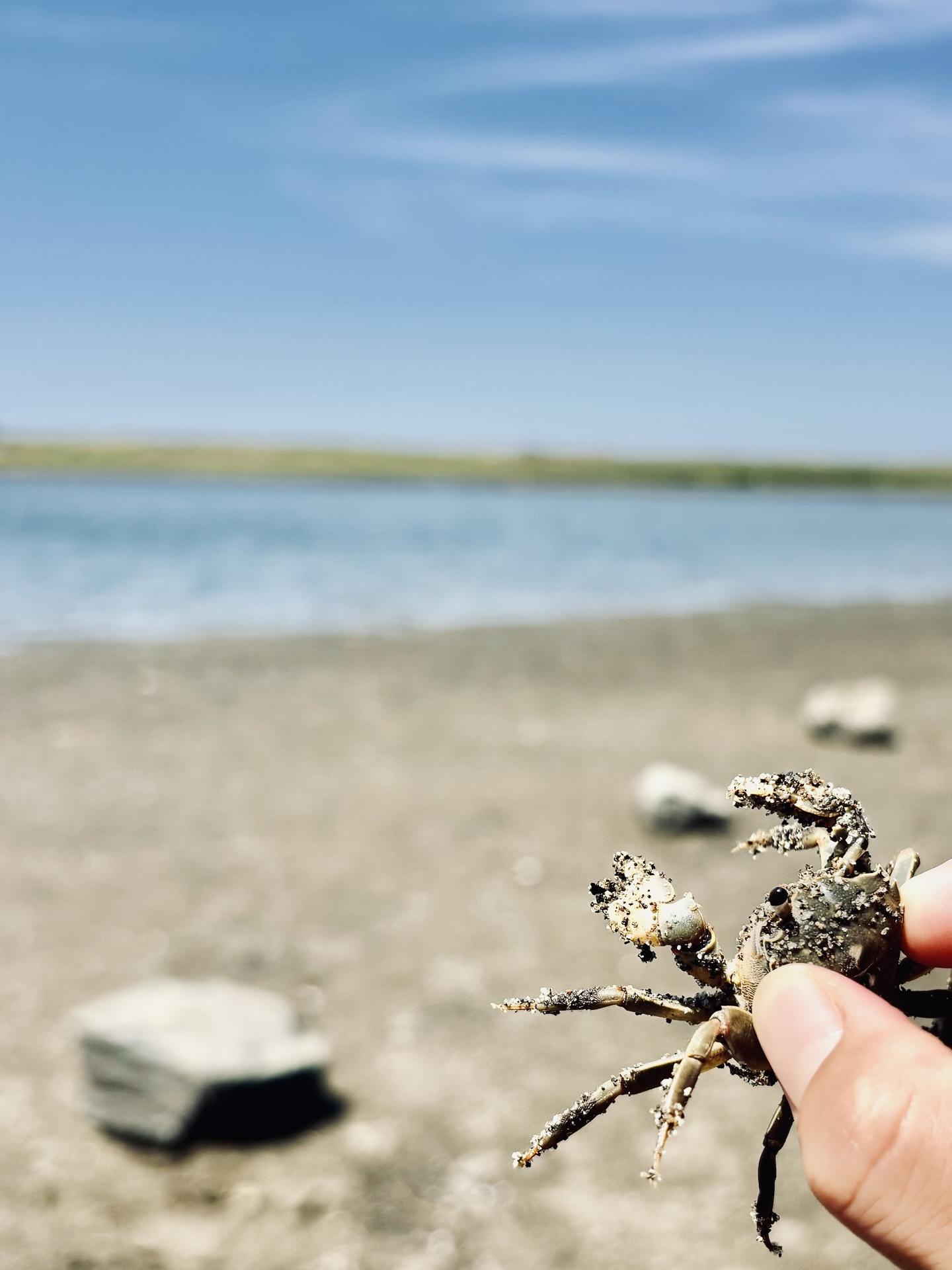 日和山 / minaさんの仙台市の活動データ | YAMAP / ヤマップ