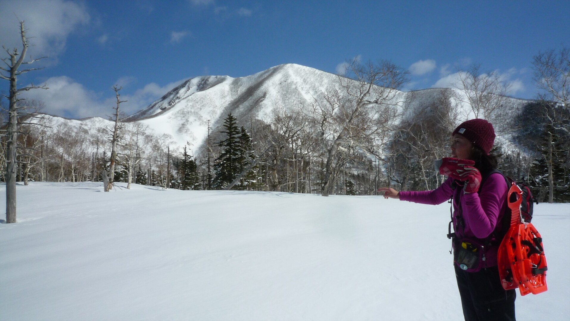 武佐岳 / akadake5さんの武佐岳の活動データ | YAMAP / ヤマップ