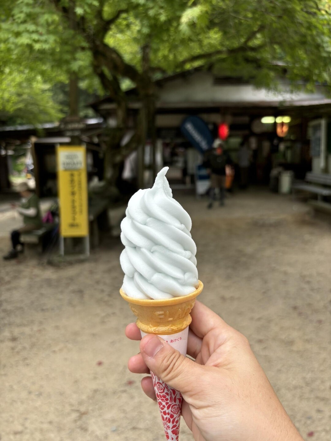 初めての↗️寺谷↘️文珠尾根コース⛰️ / Shokoさんの金剛山・二上山・大和葛城山の活動データ | YAMAP / ヤマップ