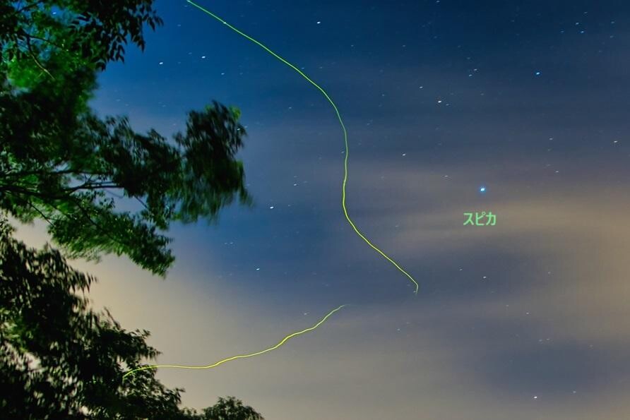 祇園川上流域のホタル（R6.5.31）① / としちゃんさんの天山の活動データ | YAMAP / ヤマップ