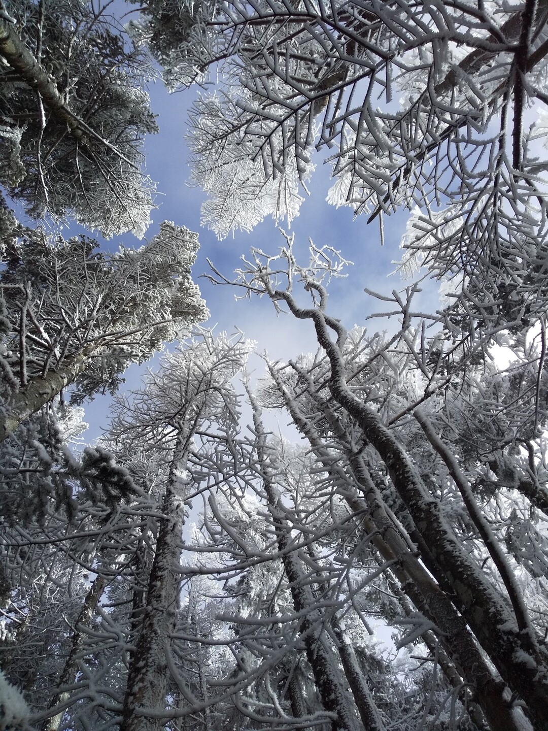 みょみょのページ | YAMAP / ヤマップ