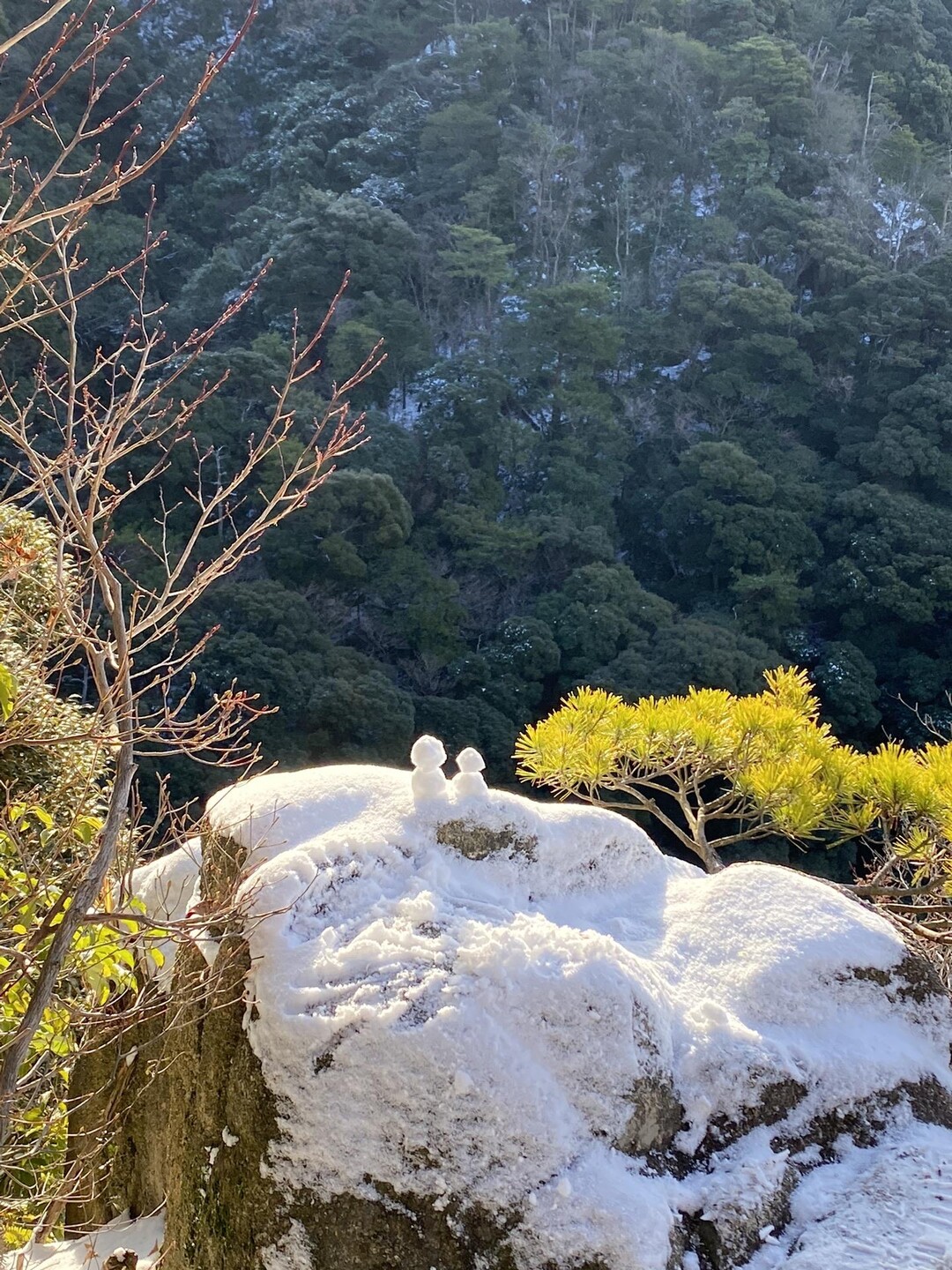 福智山・尺岳・雲取山-2022-12-19 / katuさんの福智山・尺岳・雲取山の活動データ | YAMAP / ヤマップ