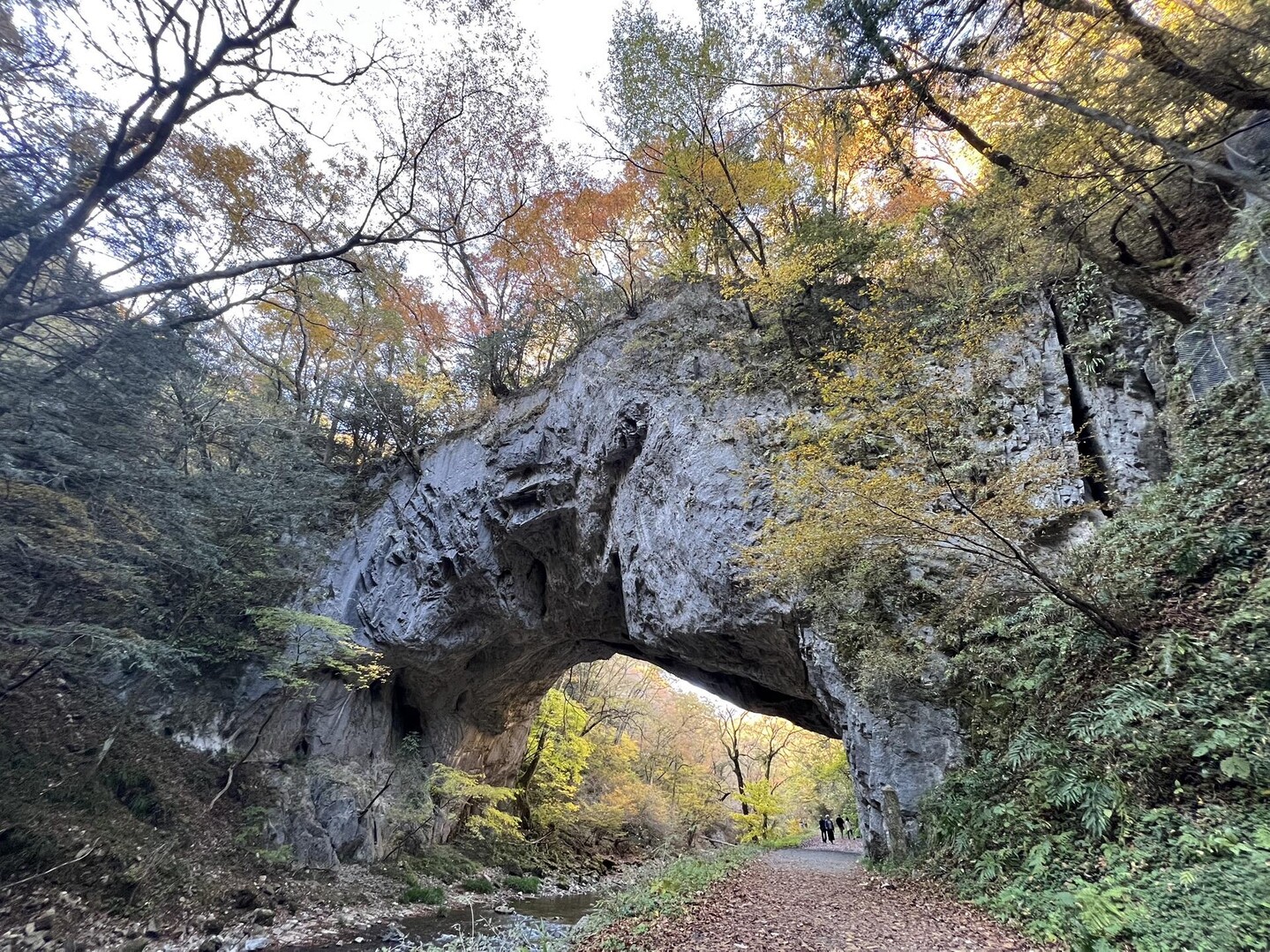 帝釈峡②上帝釈 / KUMAさんの帝釈峡の活動データ | YAMAP / ヤマップ