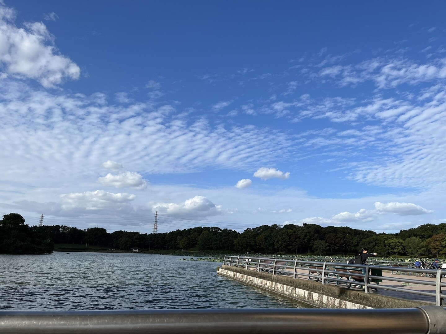 ウォーキング-2023-10-07 / mamiさんのウォーキングの活動データ | YAMAP / ヤマップ