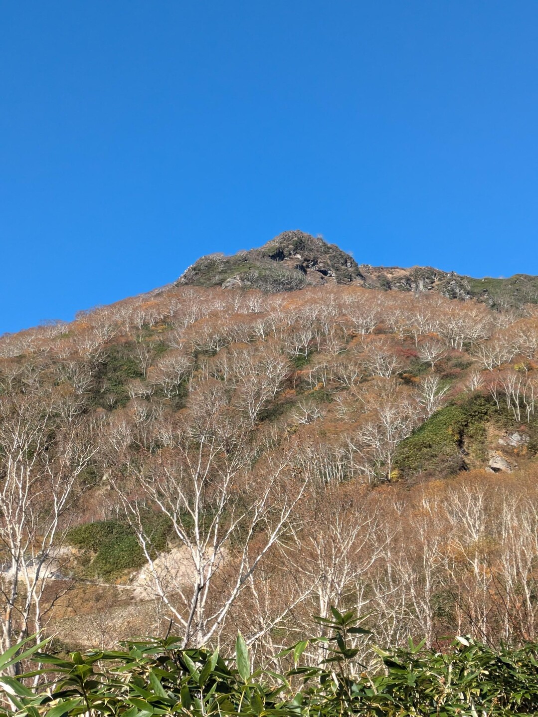 妙高山（南峰）・妙高山（北峰） / Sam&Azuさんの妙高山・火打山の活動データ | YAMAP / ヤマップ