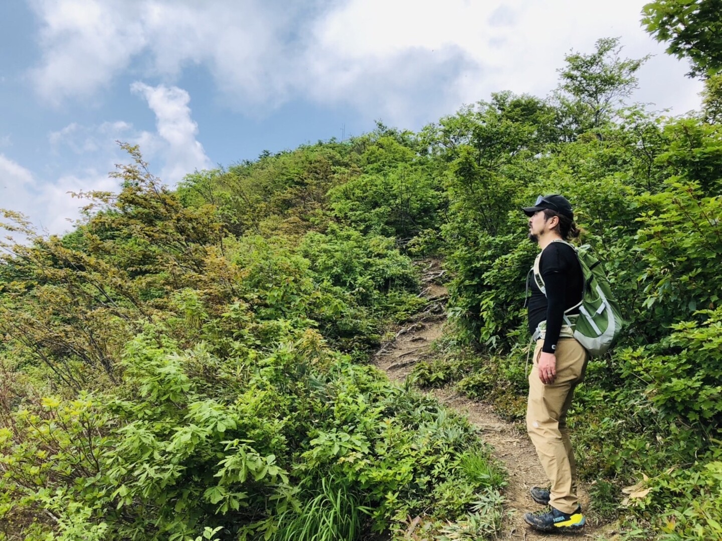 金時の頭・白鳥山 / 白鳥山・下駒ヶ岳・犬ヶ岳の写真3枚目 | YAMAP / ヤマップ