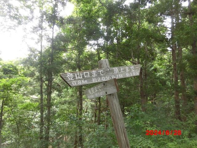 達居森〔リベンジ成功〕 / takibiさんの達居森の活動データ | YAMAP / ヤマップ