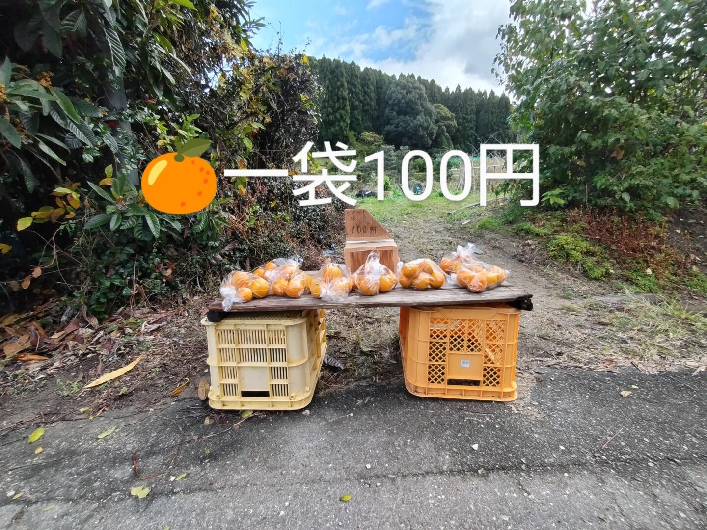 山の辺の道 / 瓢簞屋四郎兵衛🎴さんのモーメント | YAMAP / ヤマップ