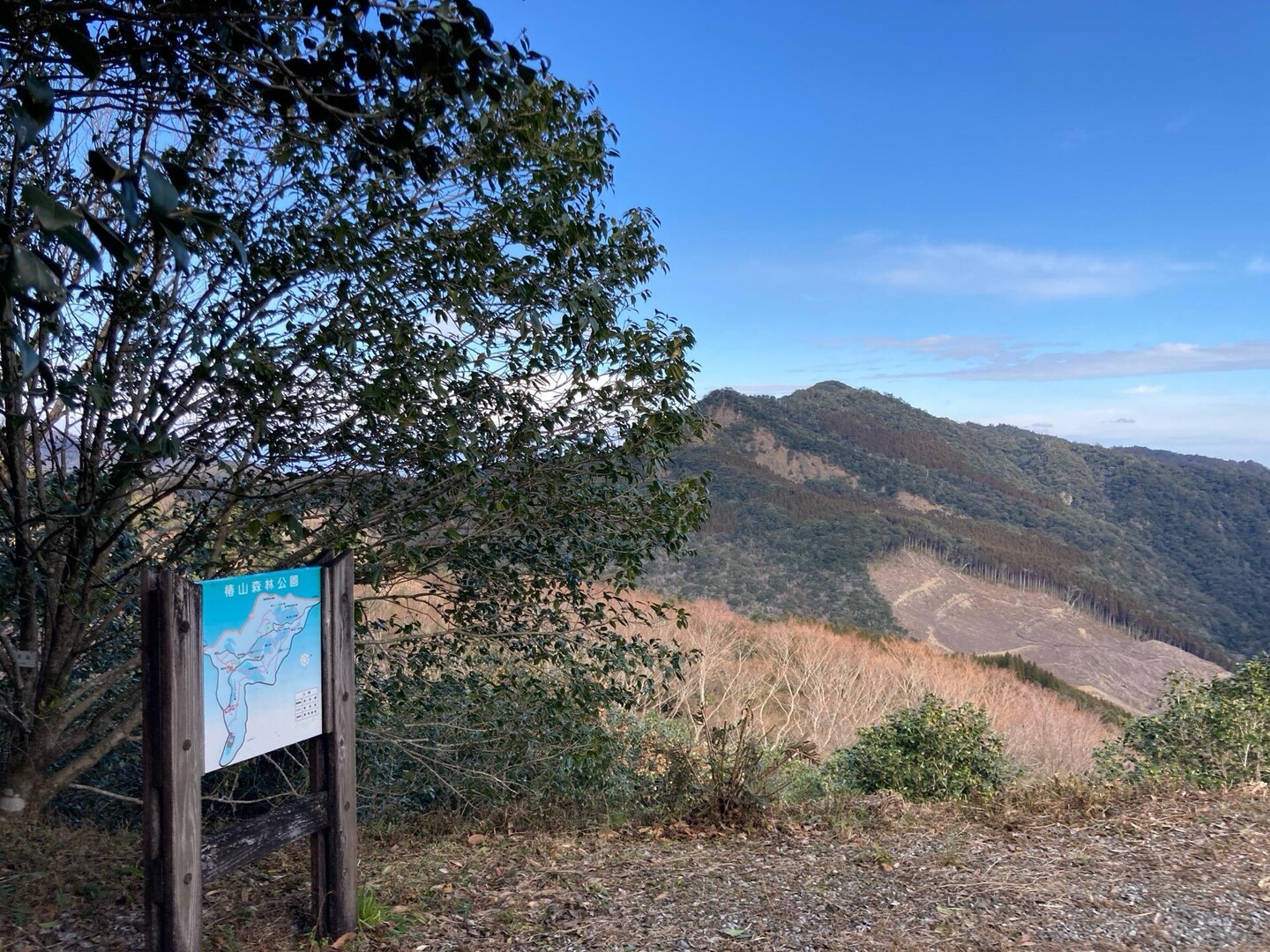 椿山 / 浜ちゃんさんの双石山・花切山・岩壺山の活動日記 | YAMAP / ヤマップ