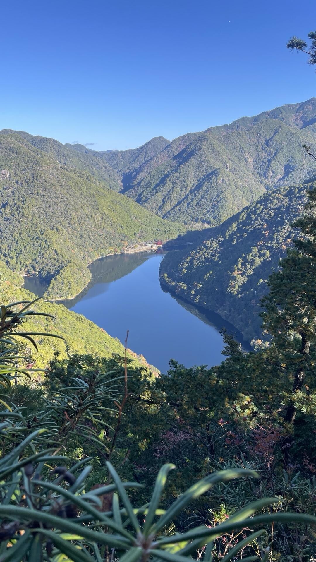 ネコちゃんに会いに上臈岩🐈3日目 / IKUKOさんの宇連山・鳳来寺山・岩古谷山の活動データ | YAMAP / ヤマップ
