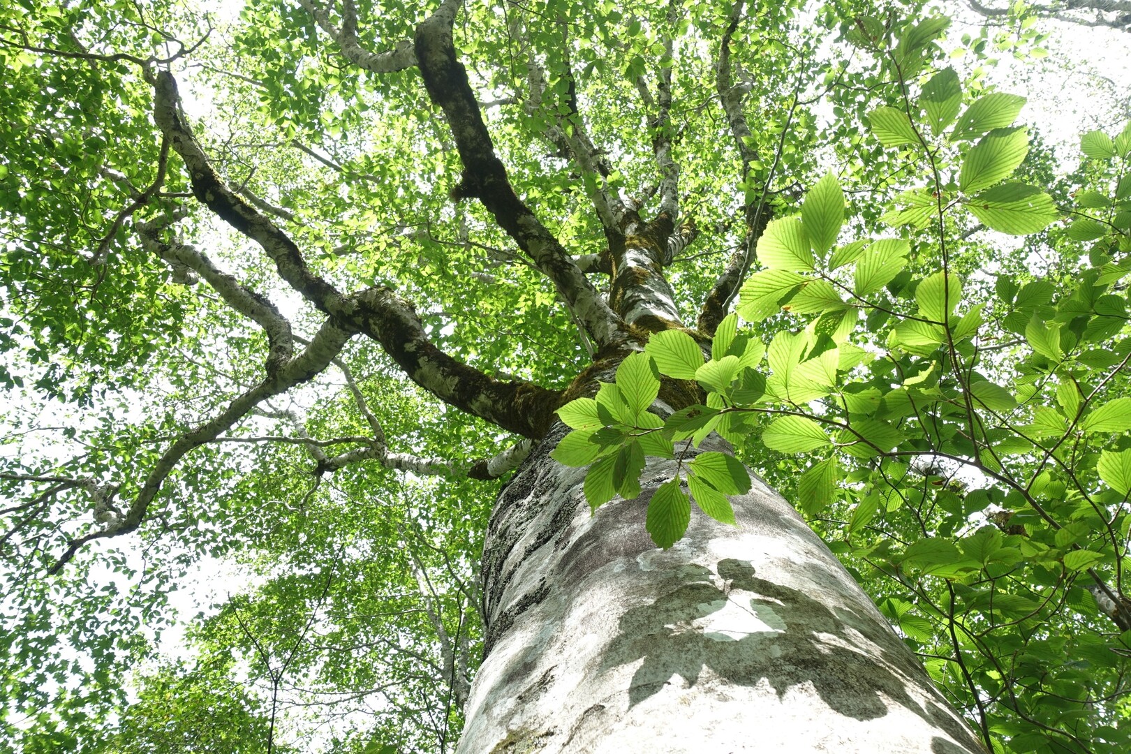 2022.08.30(火) 21:47 / マリンさんのモーメント | YAMAP / ヤマップ