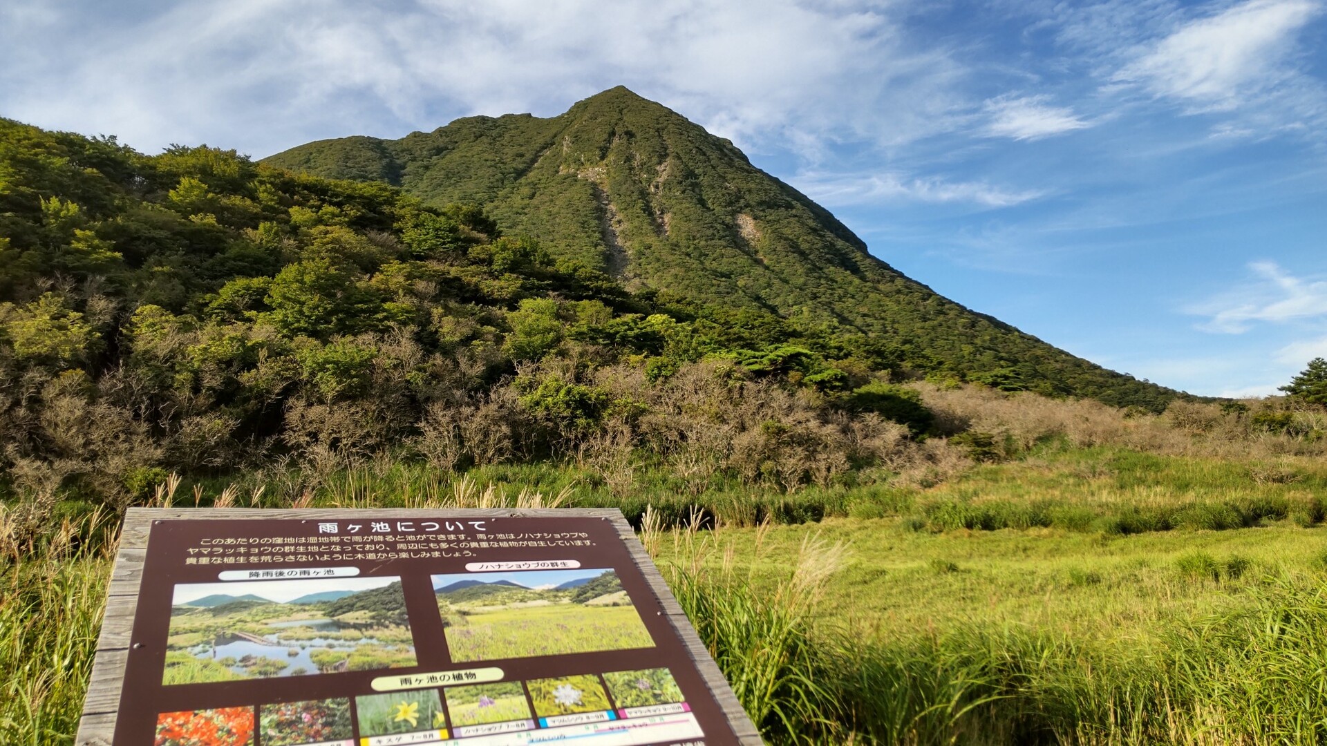 北大船山・大船山 / Naoboさんの九重山（久住山）・大船山・星生山の活動データ | YAMAP / ヤマップ