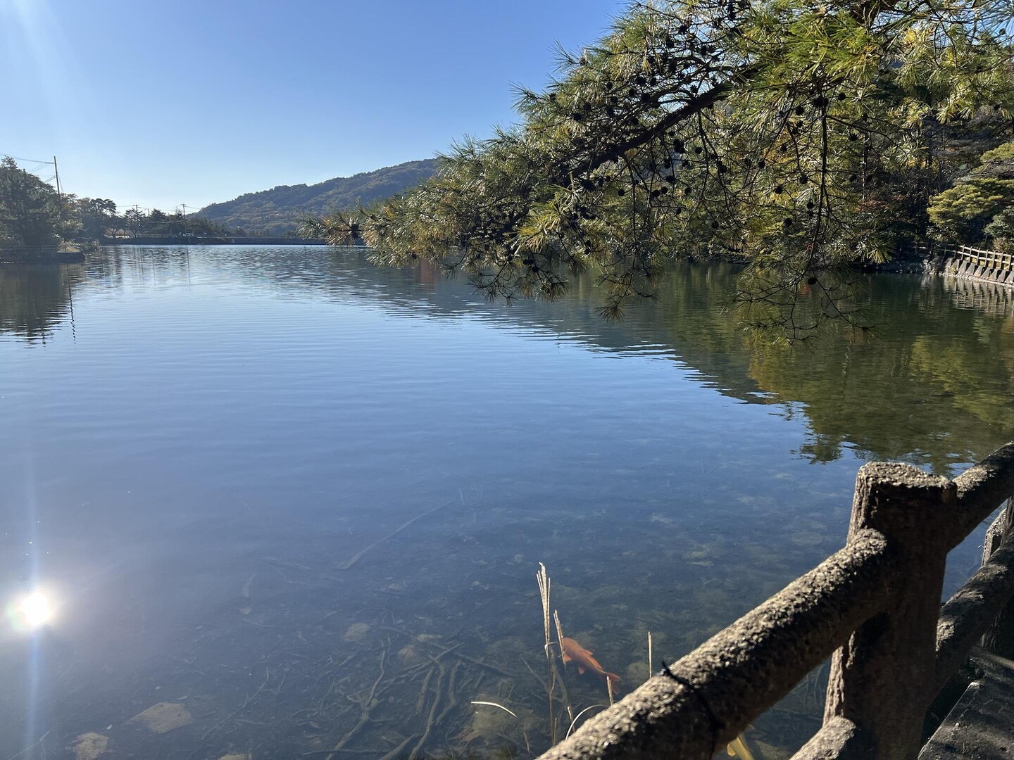 観音山から奥池へ / tamaccoさんの六甲山・長峰山・摩耶山の活動データ | YAMAP / ヤマップ