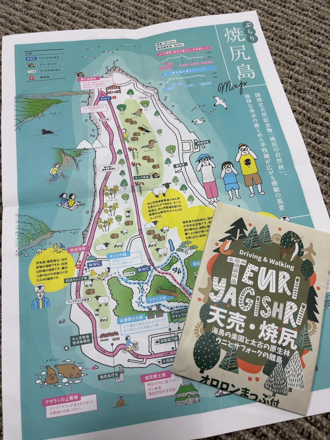 焼尻島トレイル2nd-2023-07-22 / トシさんの焼尻島の活動データ | YAMAP / ヤマップ