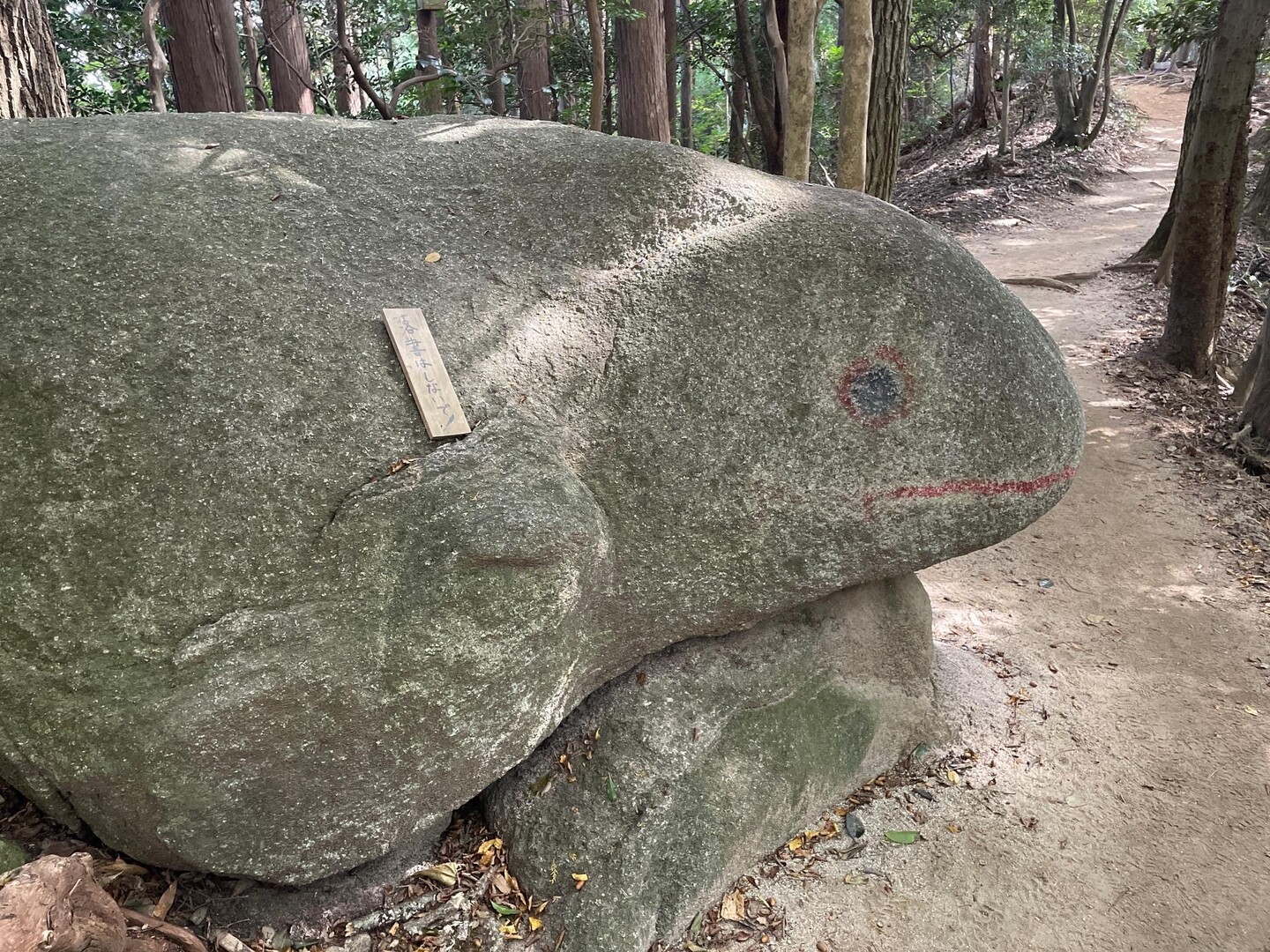 yaさんの投稿したフィールドメモ | YAMAP / ヤマップ