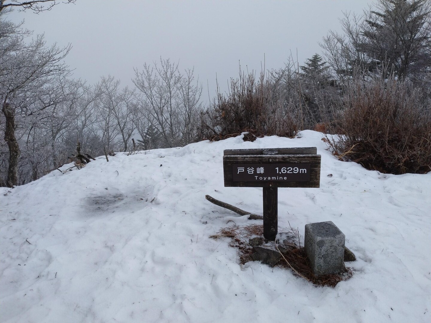 雪無いね～戸谷峰 / nobさんの三才山・戸谷峰の活動データ | YAMAP / ヤマップ