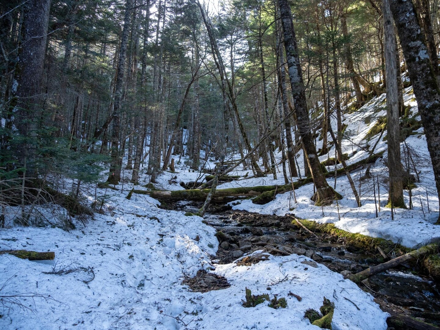 甲武信ヶ岳 / k-sukeさんの甲武信ヶ岳の活動データ | YAMAP / ヤマップ