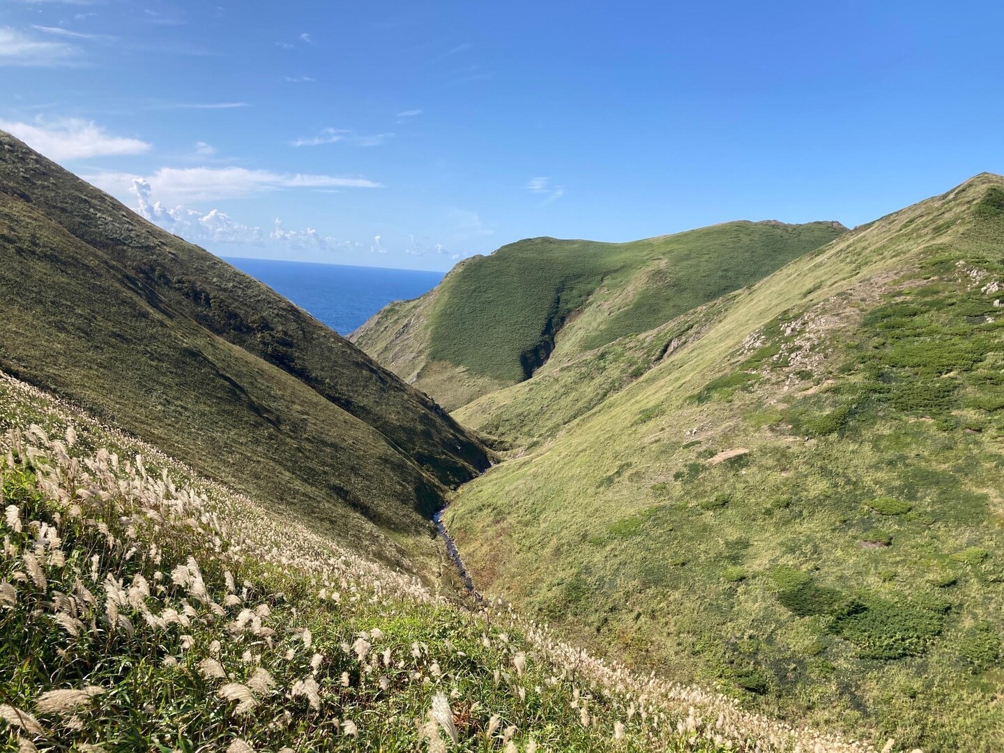 ウォーキング-2023-09-30 / ynさんのウォーキングの活動データ | YAMAP / ヤマップ