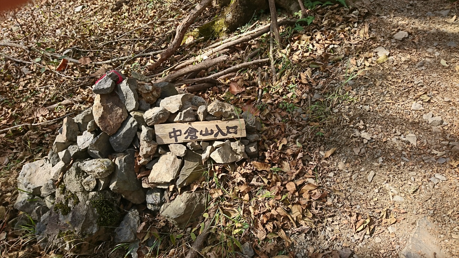 中倉山～波平ピーク～沢入山 美しい稜線 ... / N-saruさんのモーメント | YAMAP / ヤマップ